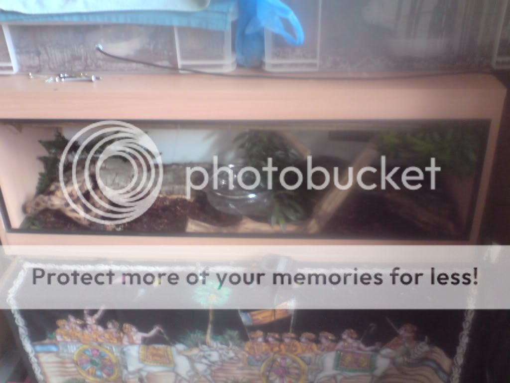 Retic Enclosures | Reptile Forums